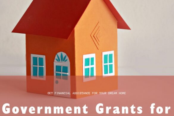 Navigating KSU Owl Express: A Complete Guide for Students - CeeJay Home